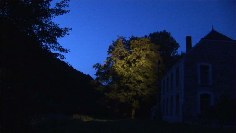 El Toro – Rudolf Boogerman - Visual arts