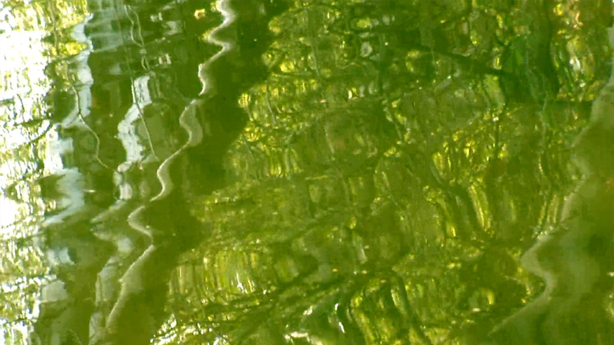 Transition – Rudolf Boogerman - Visual arts